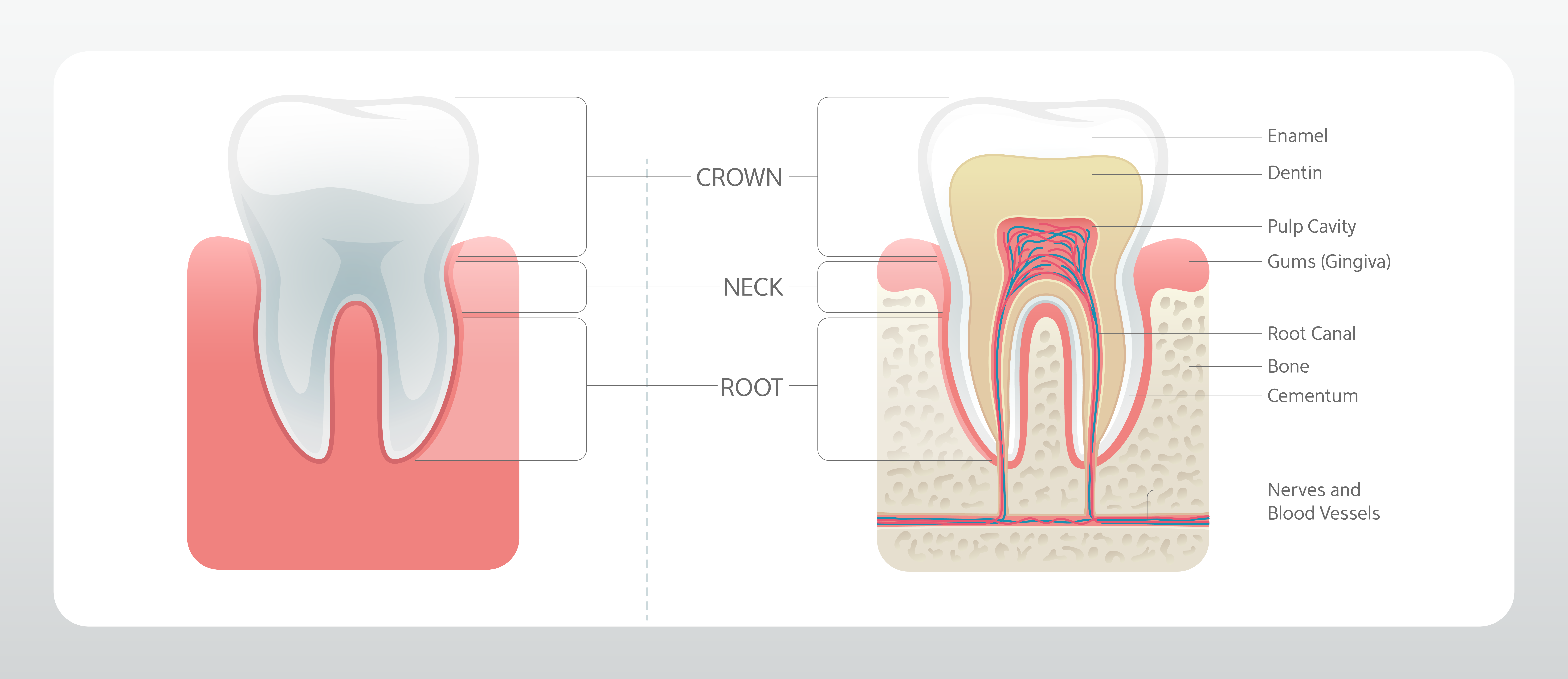 How to know if your tooth pain is a cavity - and what to do about it